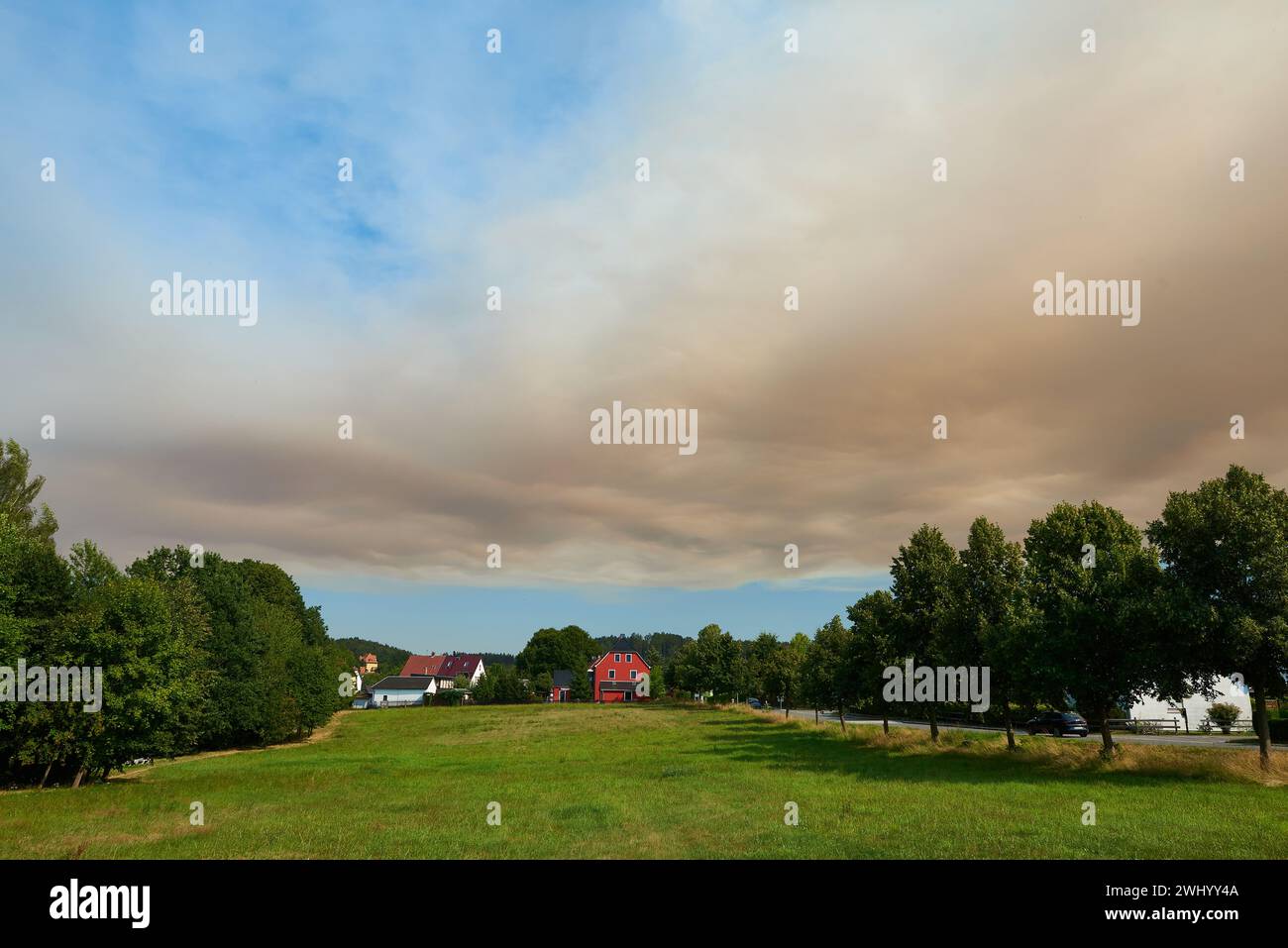 Effects of the forest fire in Saxon Switzerland Stock Photo - Alamy