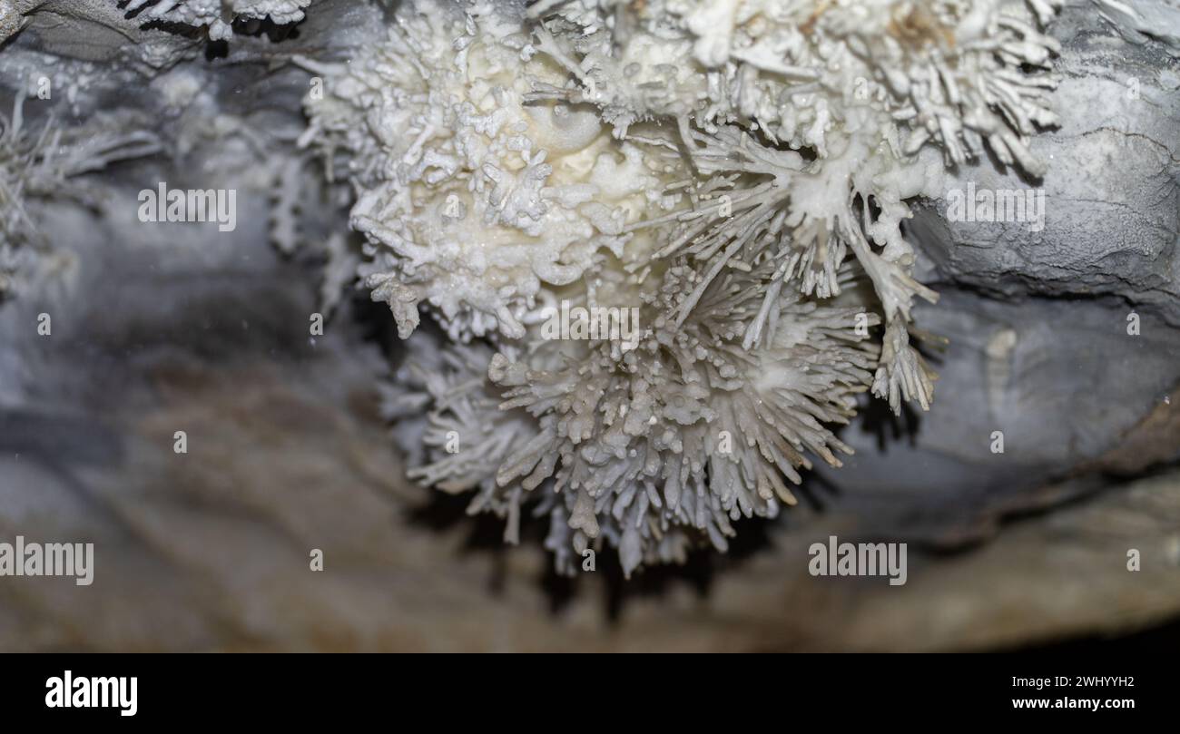 Stunning Calcite Crystals in Underground Cave Environment Stock Photo ...