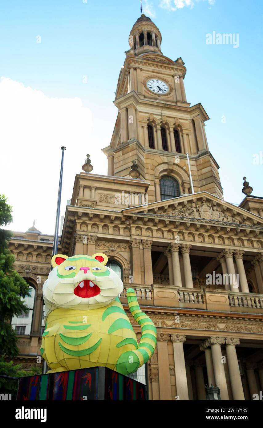 Sydney. 10th Feb, 2024. This photo taken on Feb. 10, 2024 shows a tiger ...
