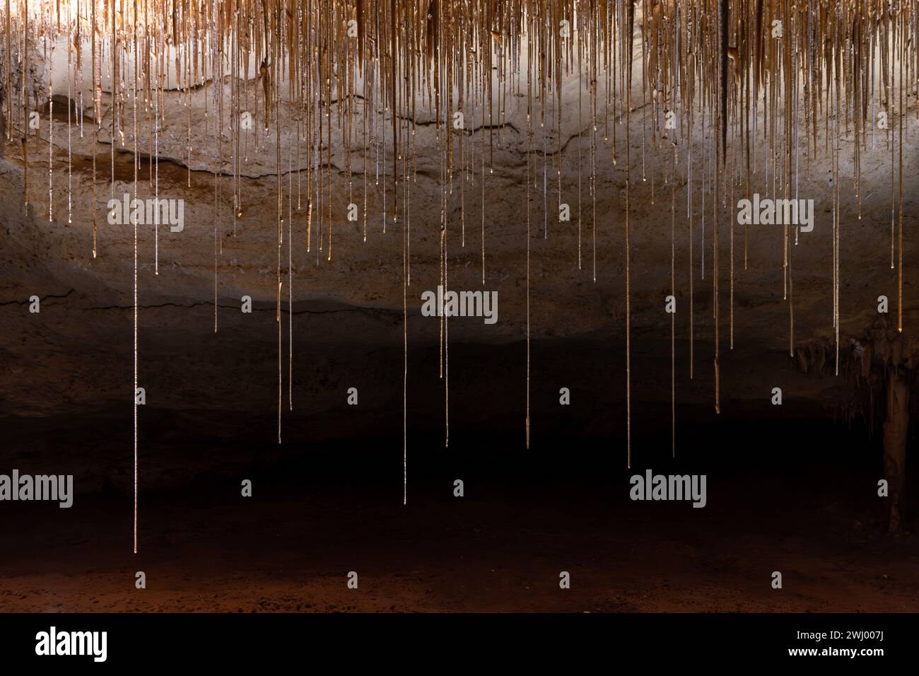 Alexandra Cave in Naracoorte Caves National Park, South Australia Stock ...