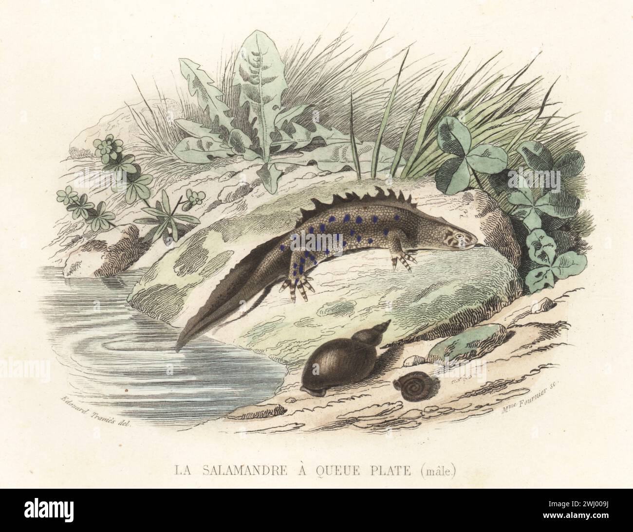 Queue plate hi-res stock photography and images - Alamy