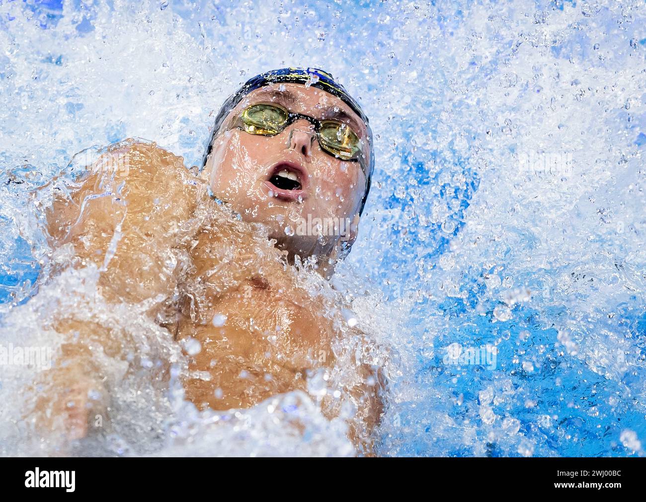 DOHA - Kai van Westering in action in the men's 100 back during the ...