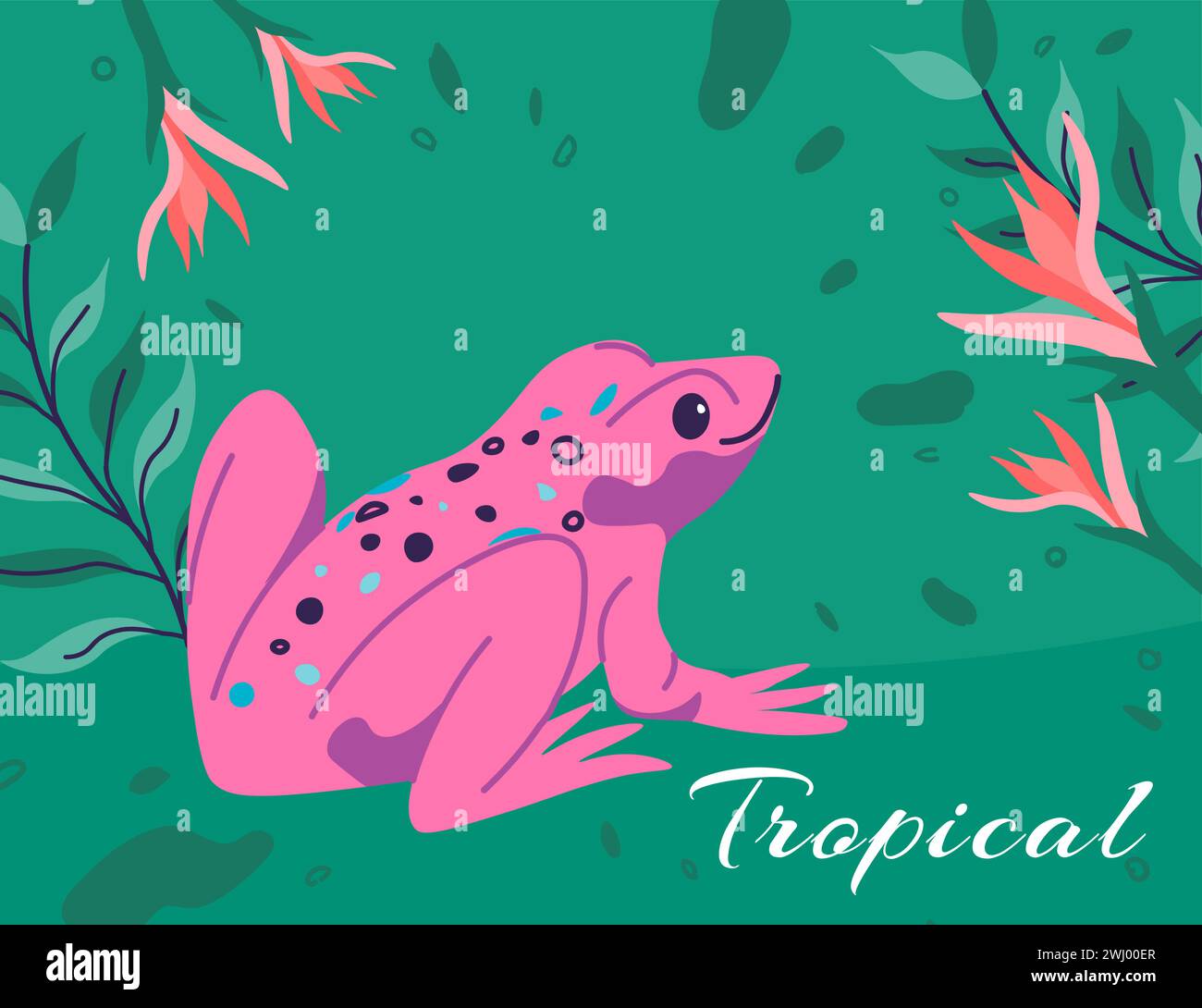 Epiphytes rainforest Stock Vector Images - Alamy