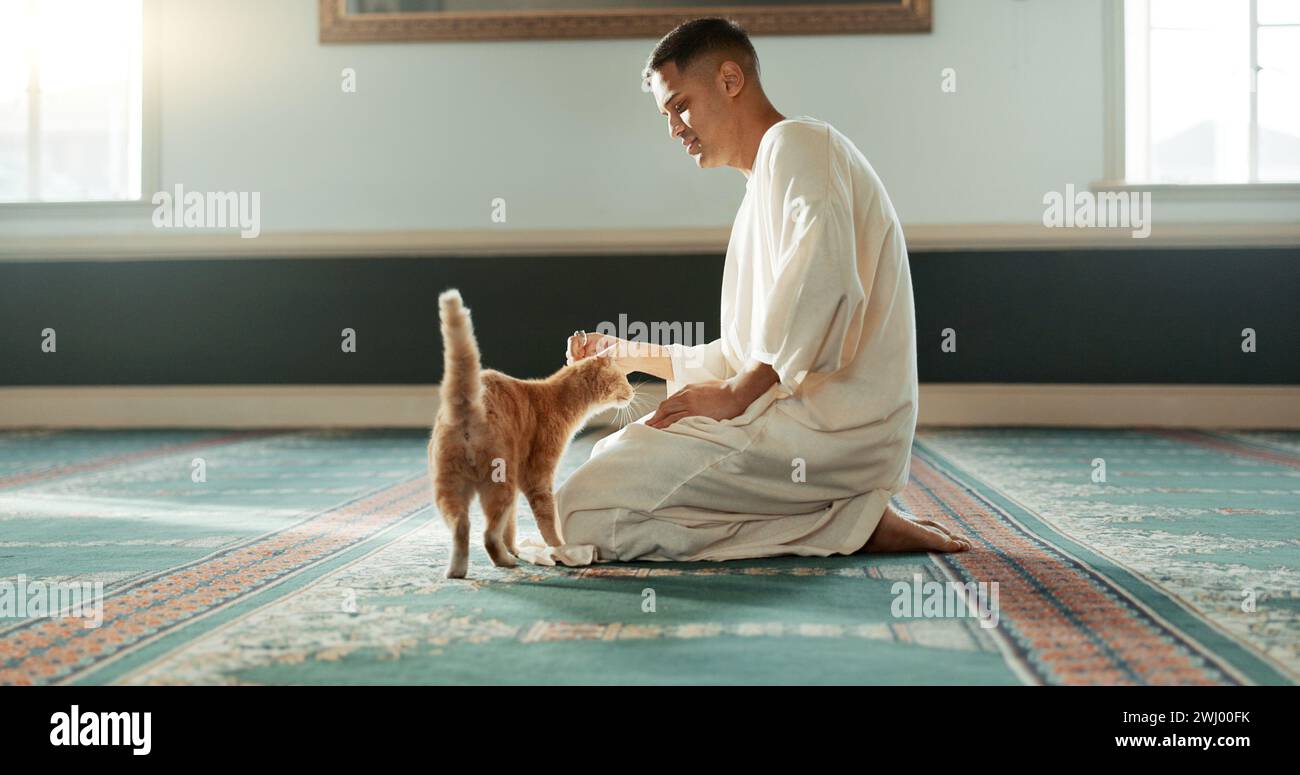 Cat, islamic and man with pet in a mosque for praying, peace and ...