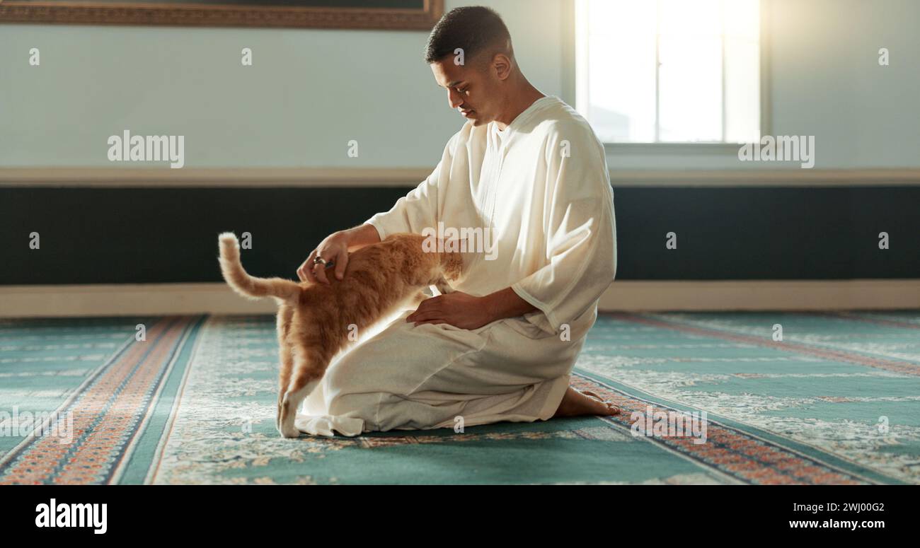 Cat, islamic and man with pet in a mosque for praying, peace and ...