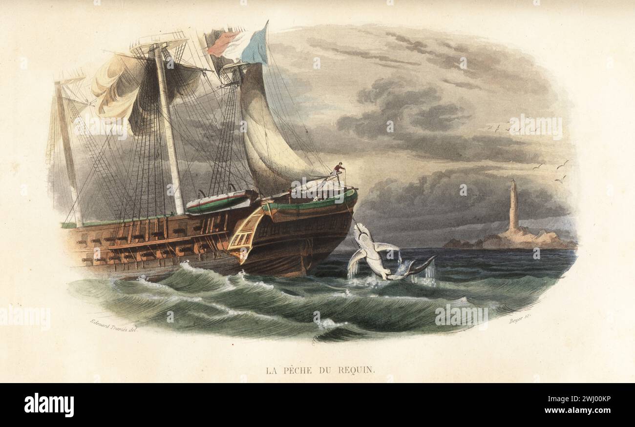 La peche du requin hi-res stock photography and images - Alamy