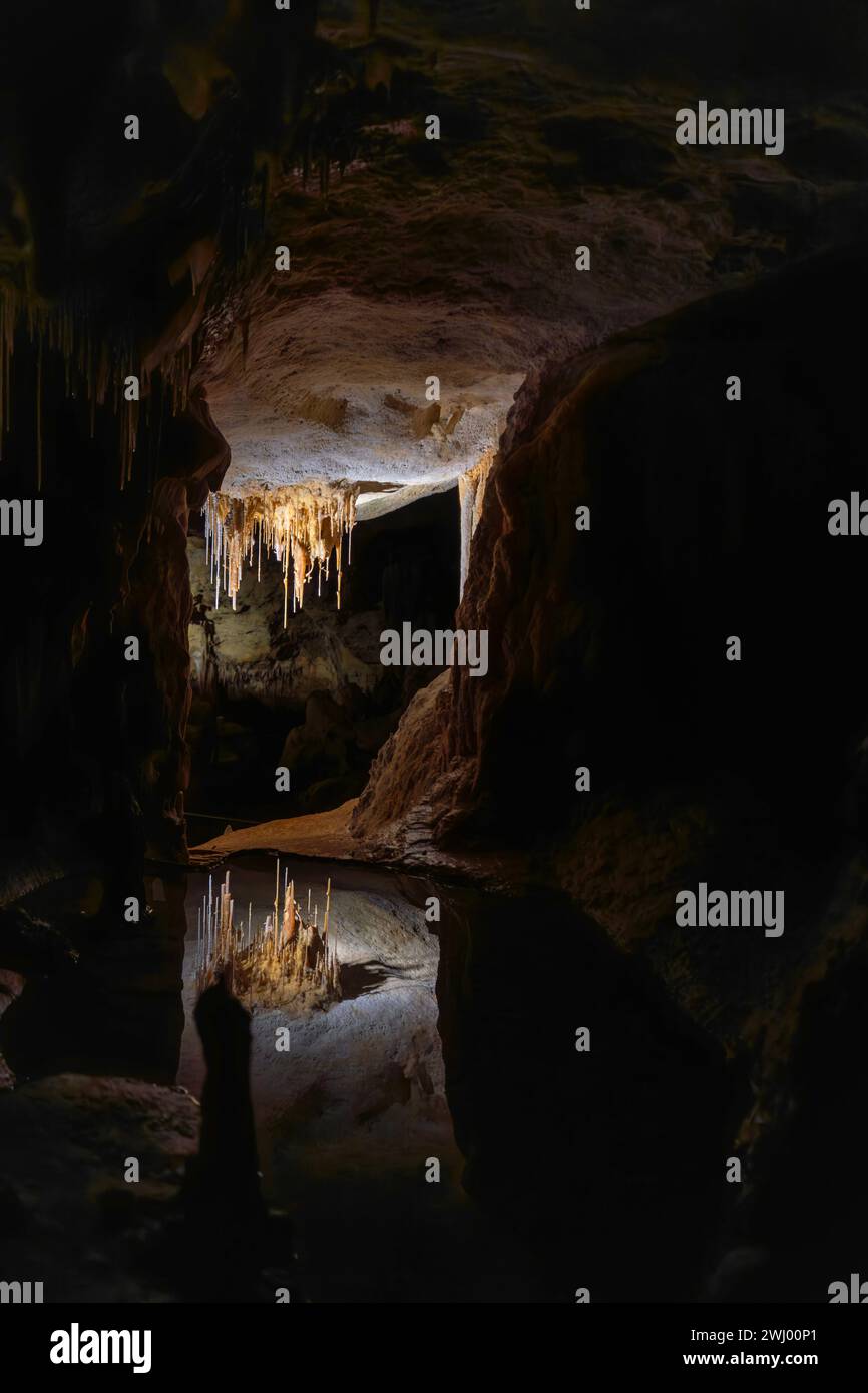 Alexandra Cave in Naracoorte Caves National Park, South Australia Stock ...