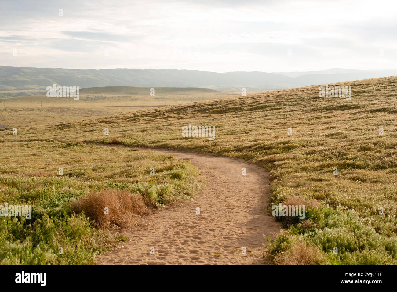 Dirt Paths, Vivid Sunset, Grassy Hills, Rolling Hills, Antelope Valley ...