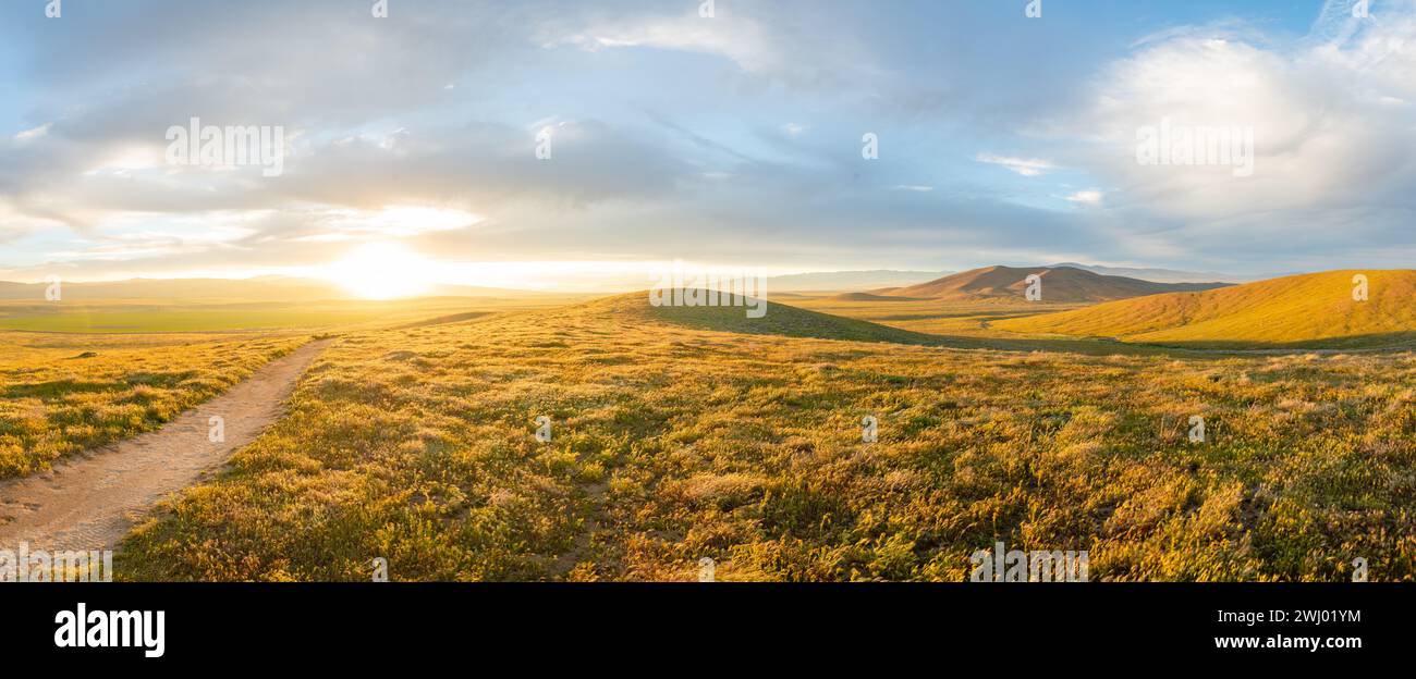 Dirt Paths, Vivid Sunset, Grassy Hills, Rolling Hills, Antelope Valley ...