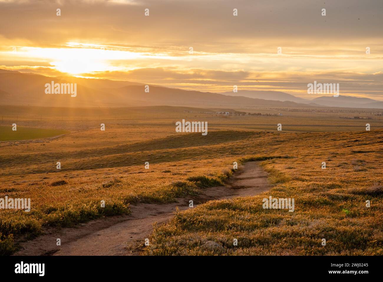 Dirt Paths, Vivid Sunset, Grassy Hills, Rolling Hills, Antelope Valley ...