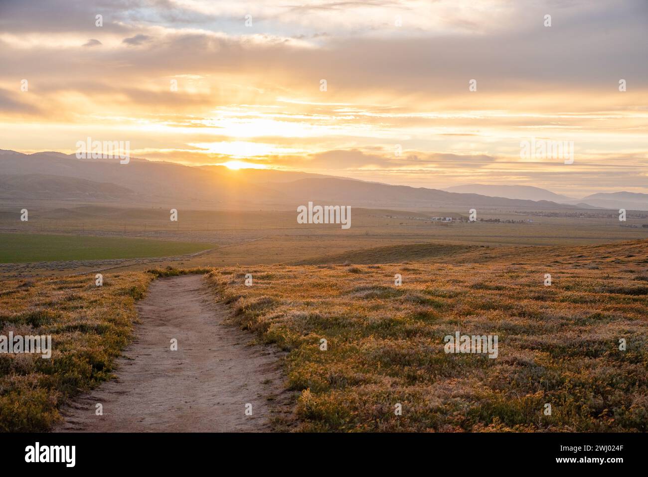 Dirt Paths, Vivid Sunset, Grassy Hills, Rolling Hills, Antelope Valley ...