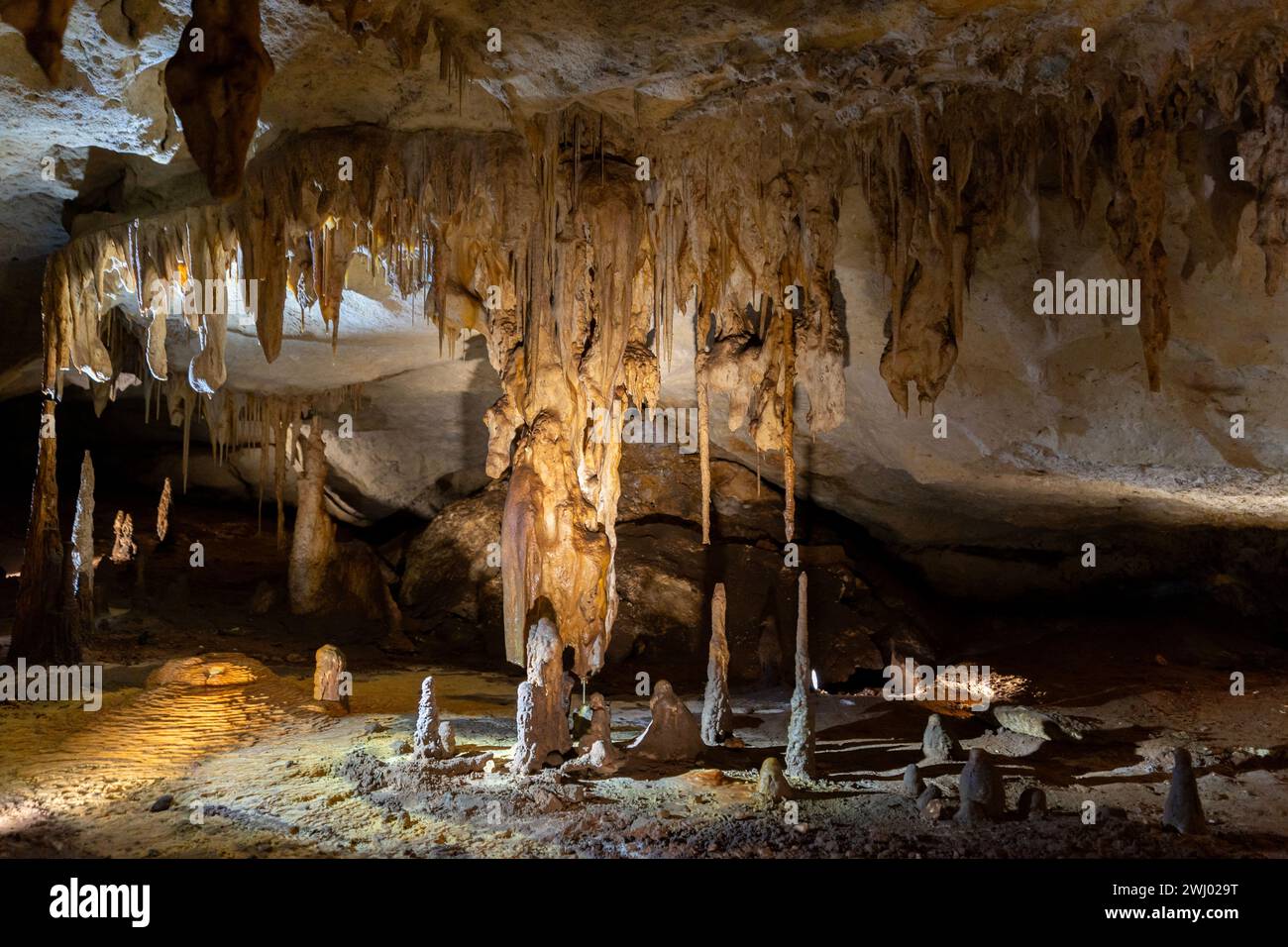 Alexandra Cave in Naracoorte Caves National Park, South Australia Stock ...