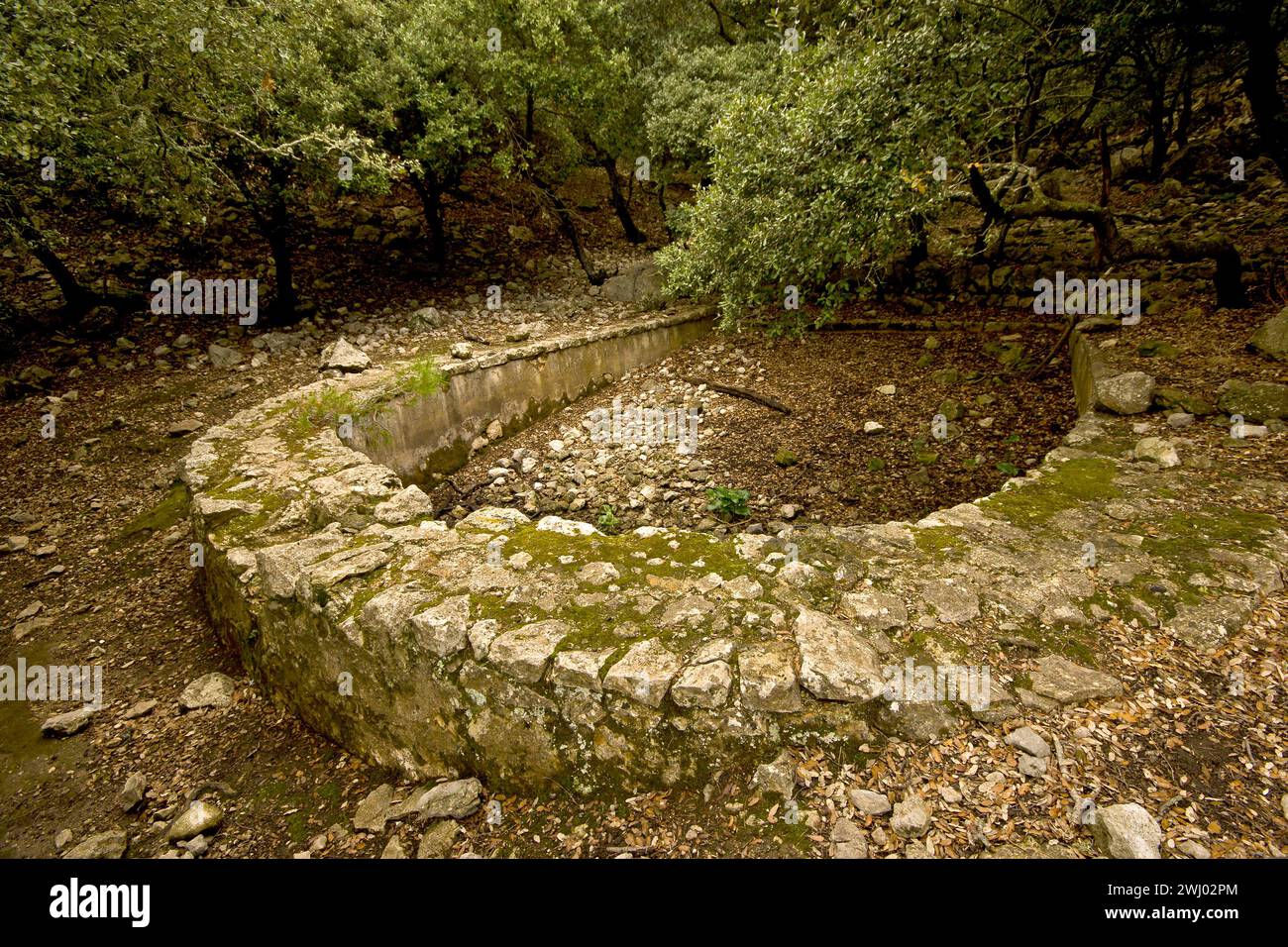 Visit coll hi-res stock photography and images - Alamy