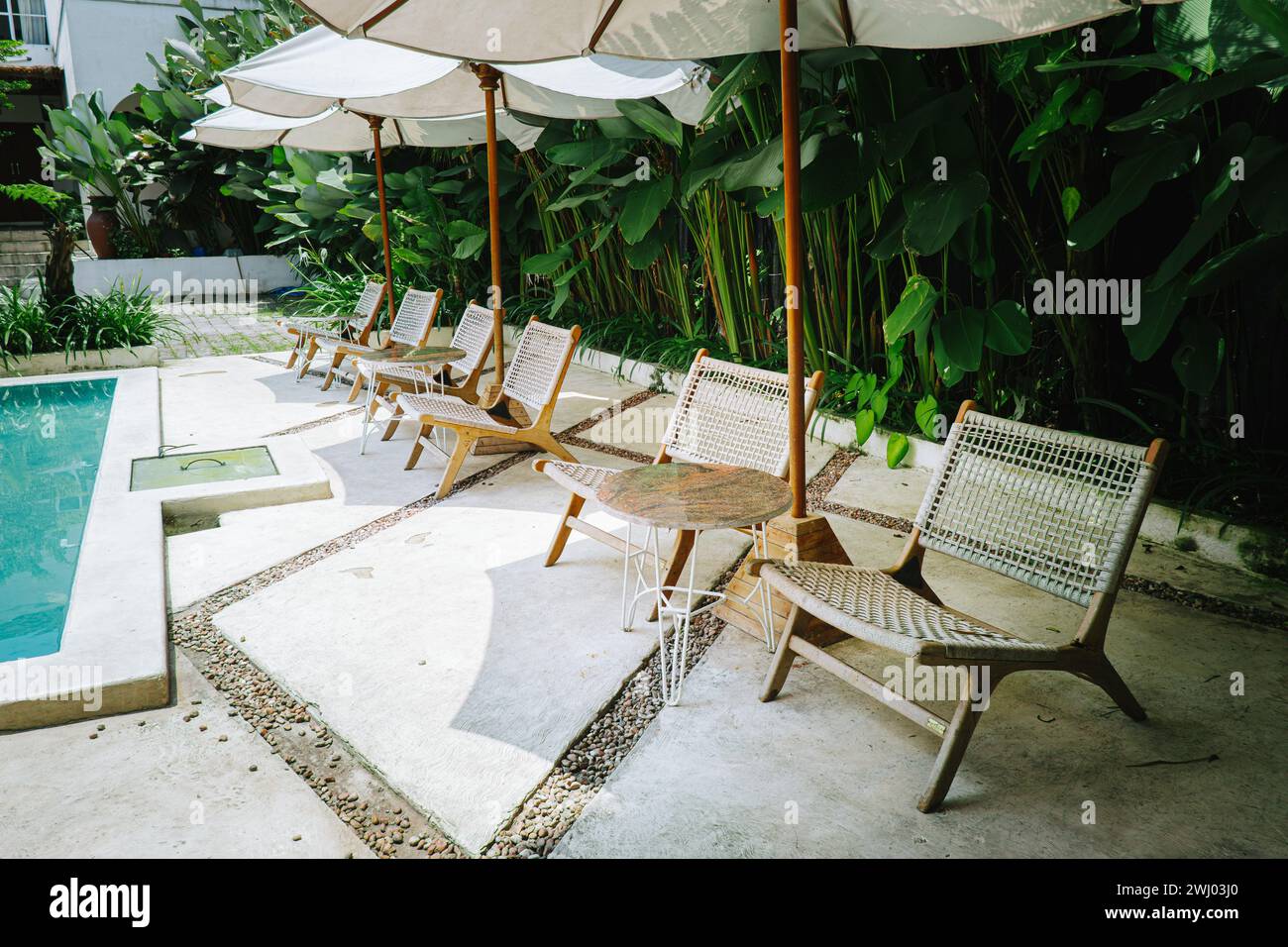 Tropical outdoor poolside area with five lounge chairs aligned beside ...