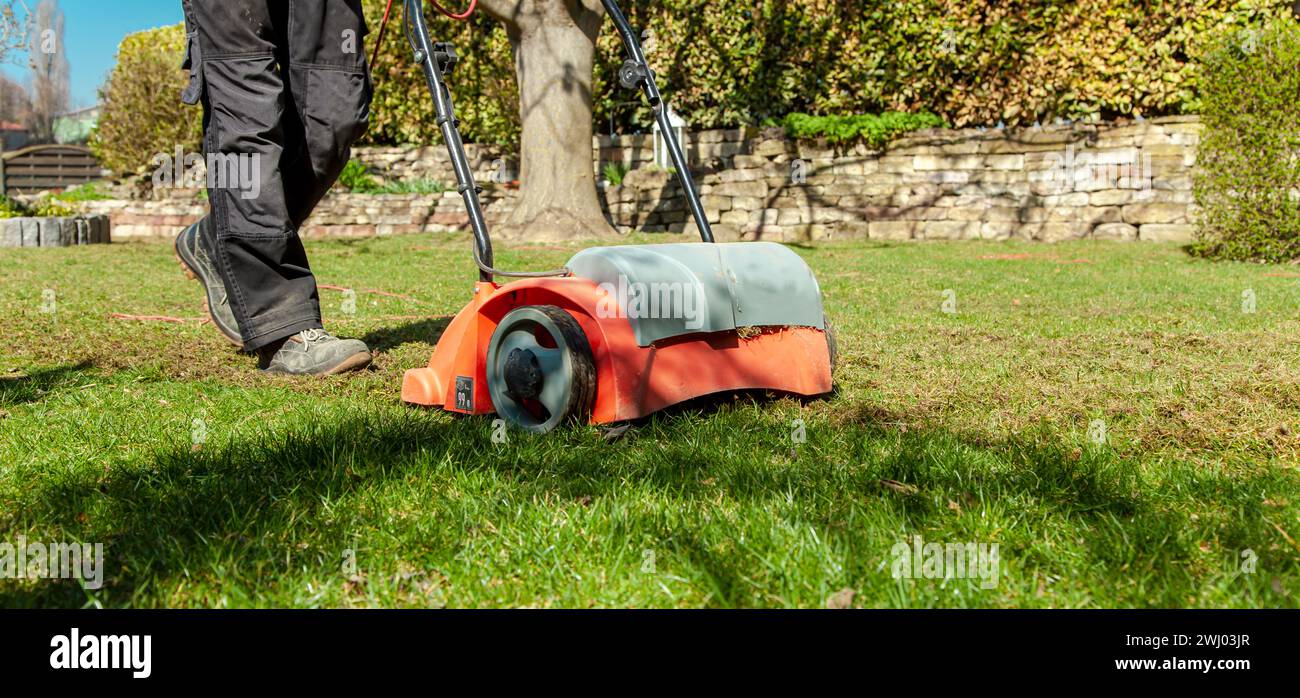 Using a scarifier in the garden to improving quality of the lawn in ...