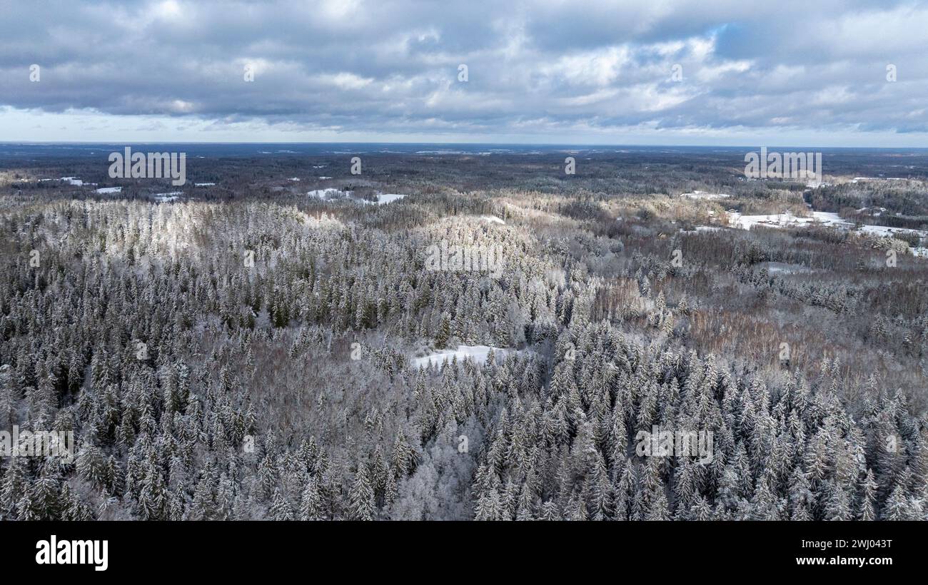An aerial view of the wild winter snow-clad peaks and mosaic landscape ...
