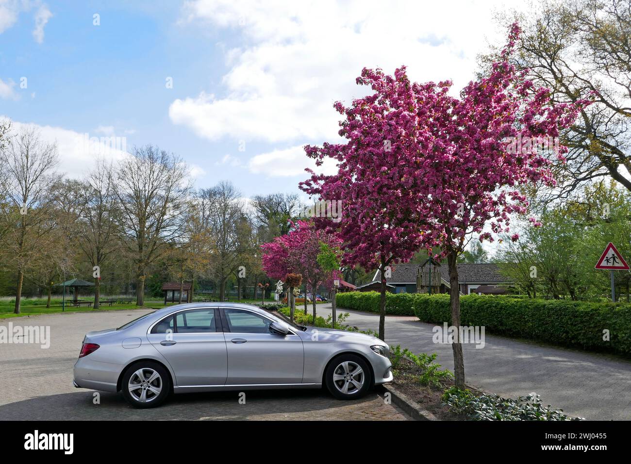 Lage, Germany - May 3 2023 A Silver Mercedes-Benz E-class E 220 is ...