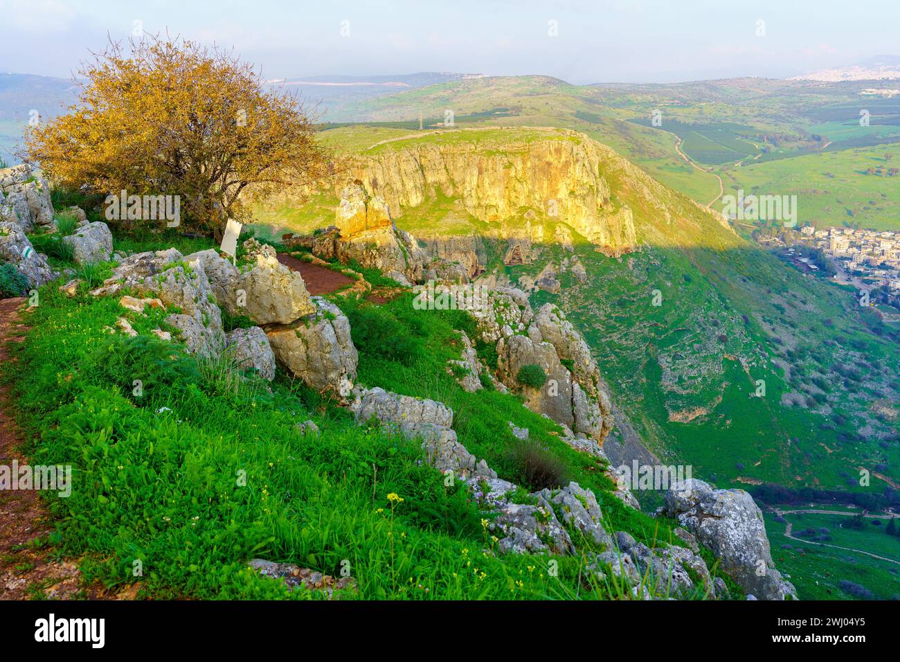 Landscape of rocks, cliffs, footpath, and winter wildflowers, in Mount ...