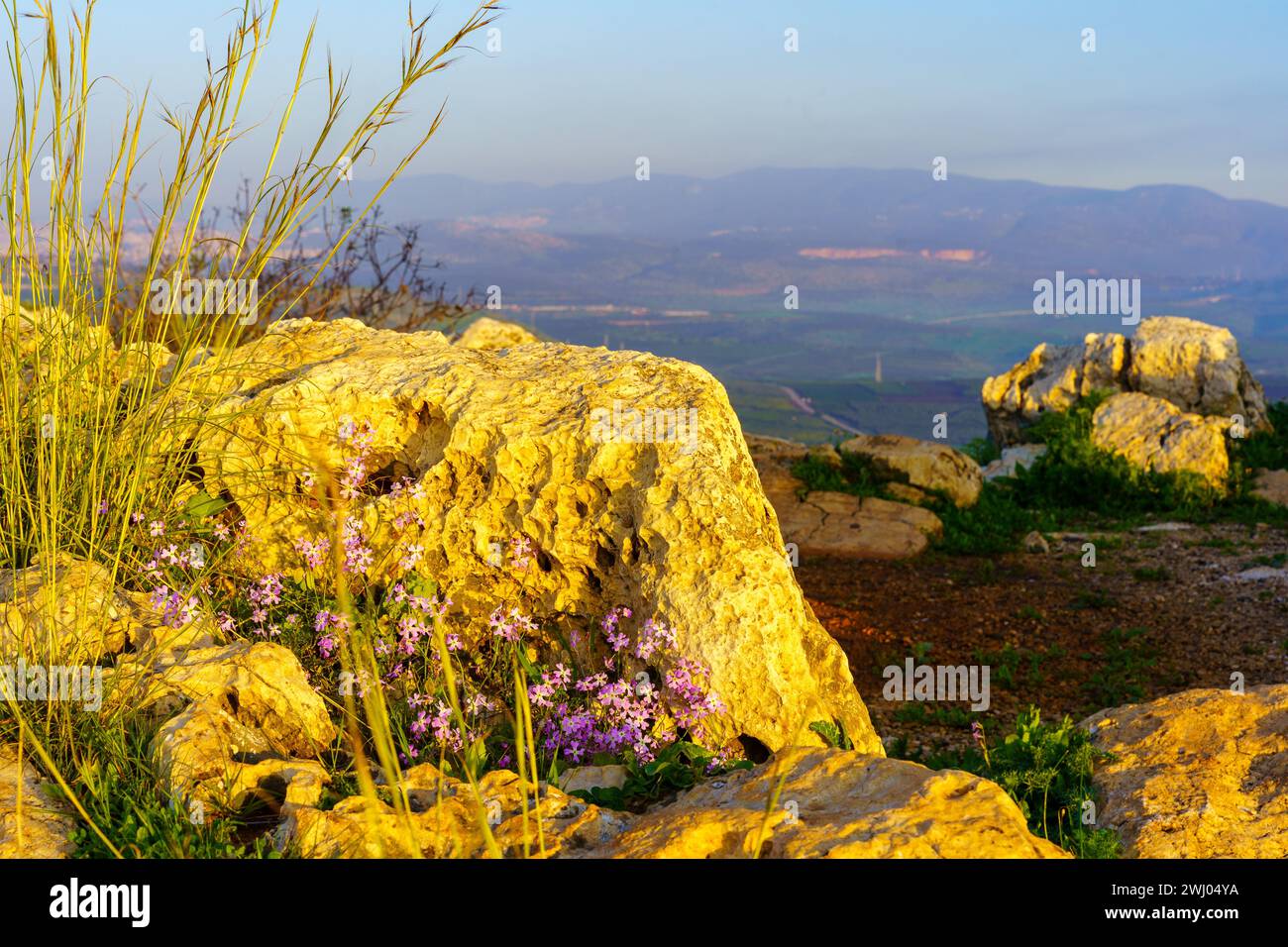 Landscape of rocks, cliffs, footpath, and winter wildflowers, in Mount ...