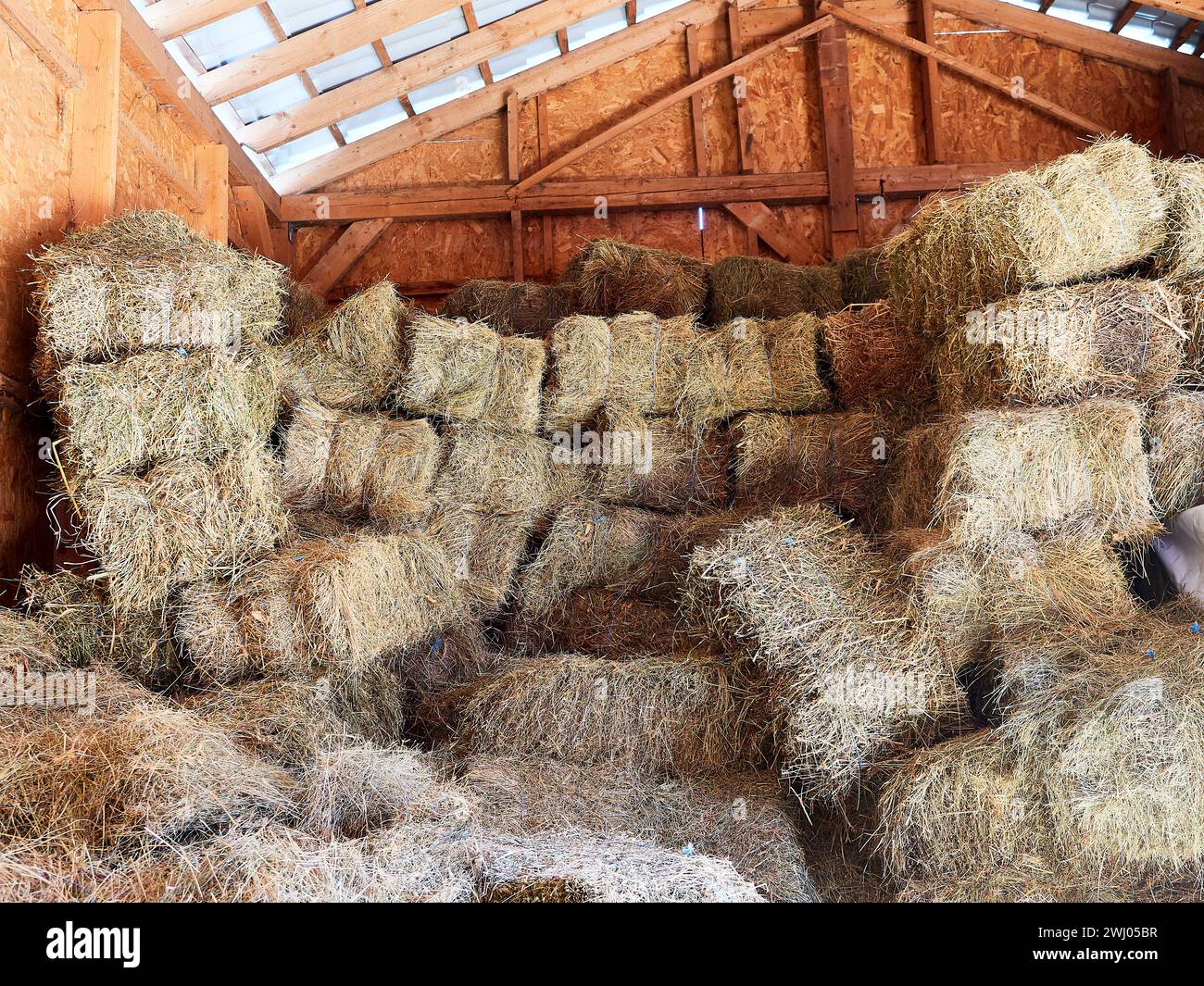 Haystack, a bale of hay group. Agriculture farm and farming symbol of ...