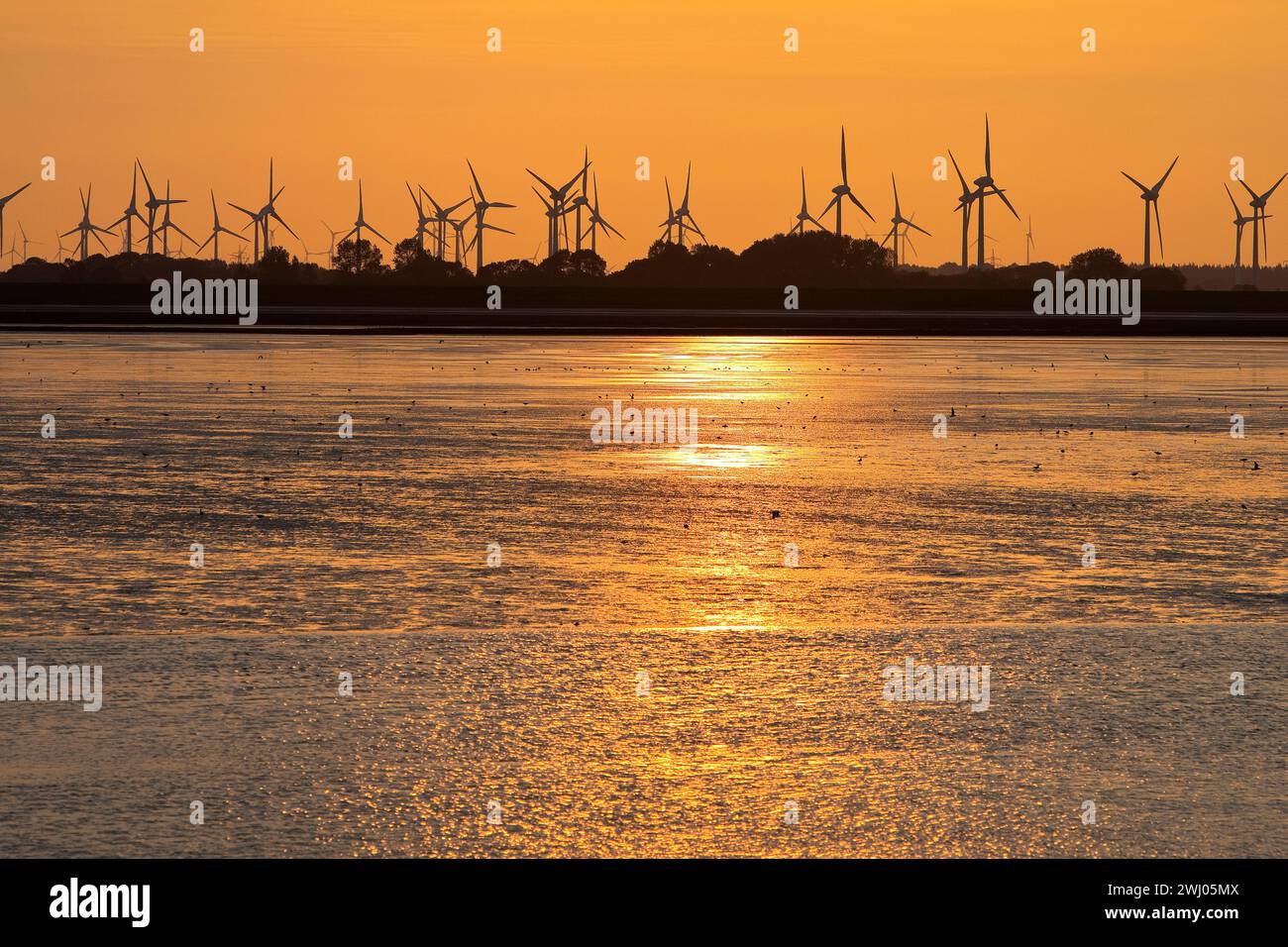 Mudflat landscape and many wind turbines in the marshland, North Sea ...