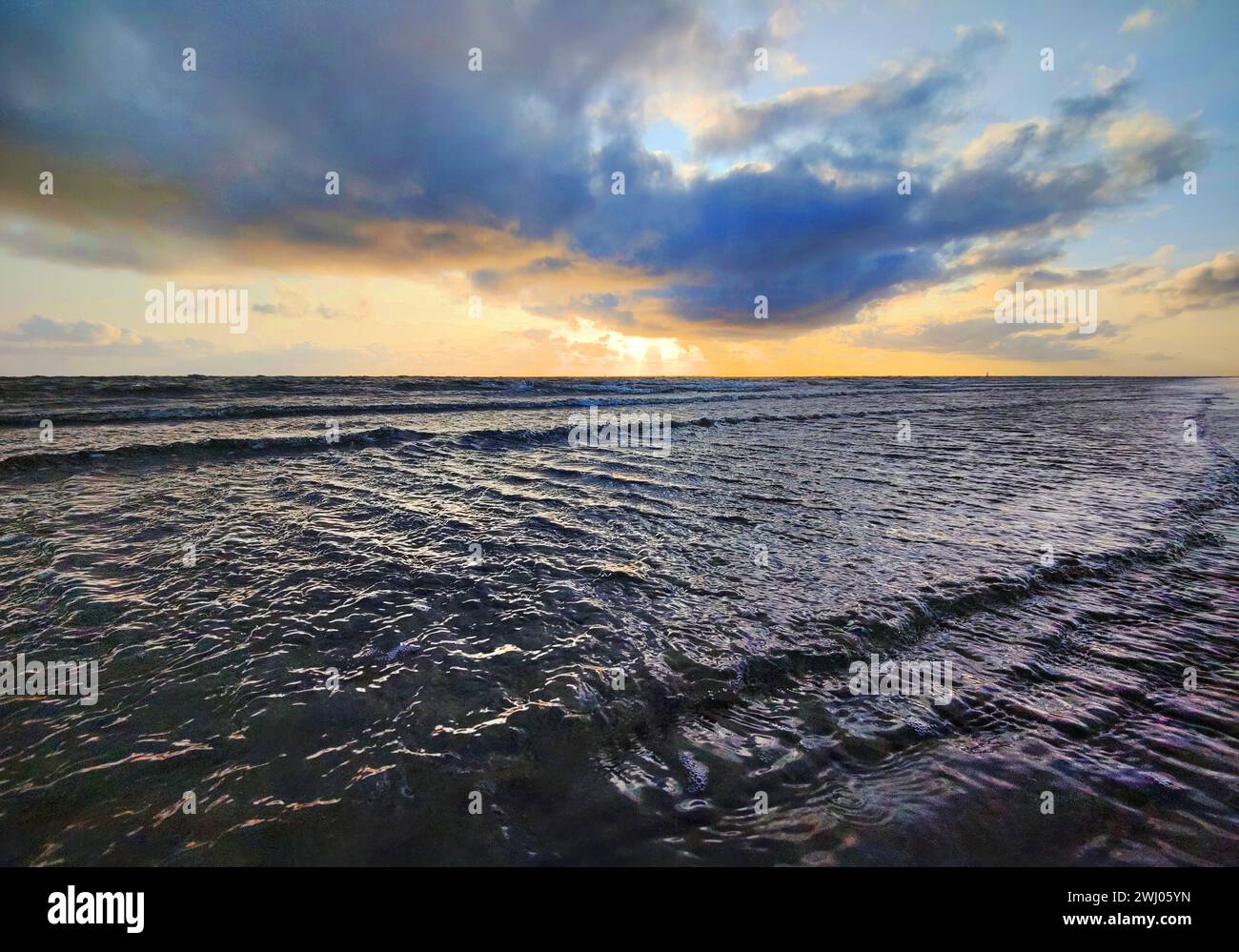 Flood fringe in the mudflats with setting sun, North Sea, Norderney ...