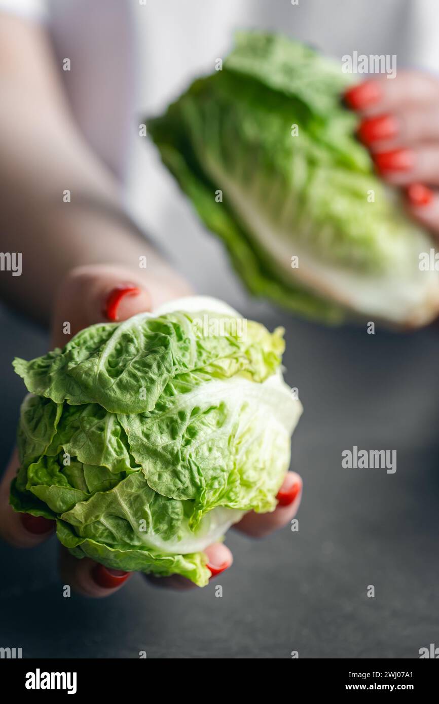 Close-up, fresh cabbage in the hand of a woman with red nails Stock ...