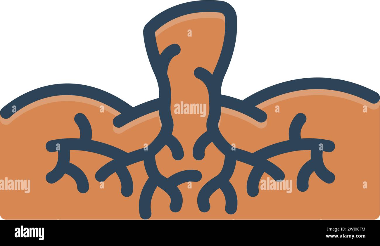 Icon for root,nature Stock Vector Image & Art - Alamy