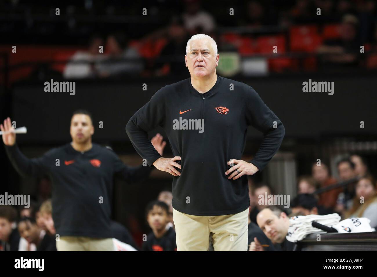 Oregon State head coach Wayne Tinkle looks on during an NCAA college ...
