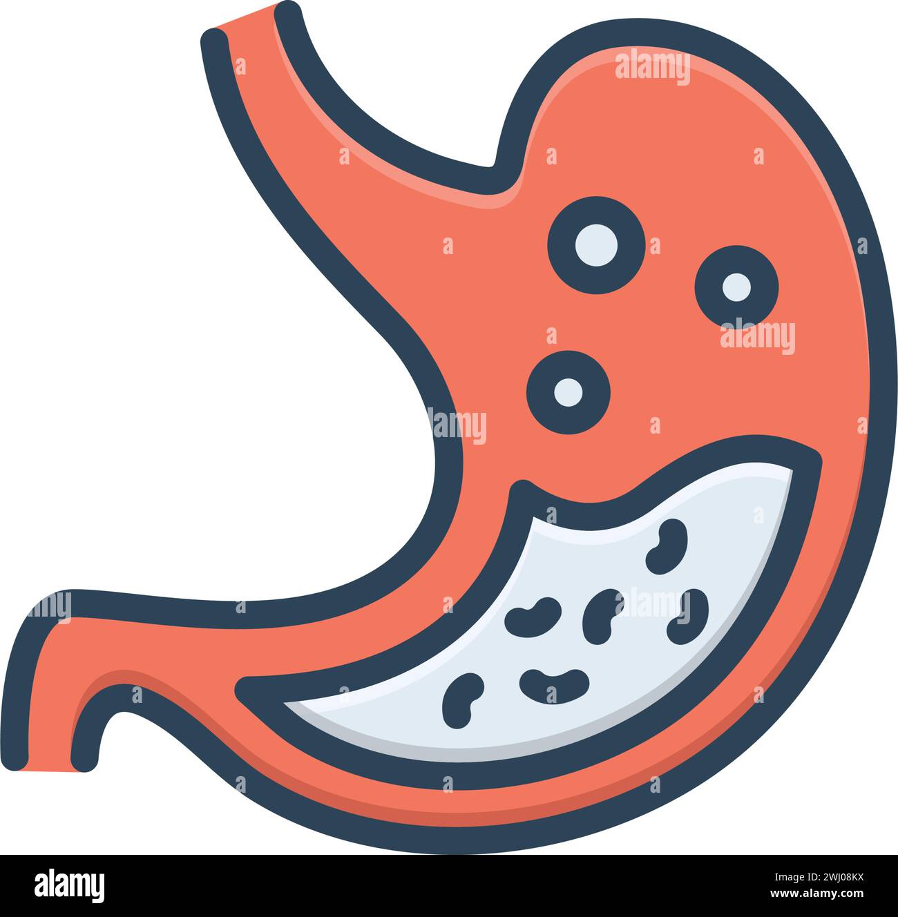 Digest Stock Vector Images - Alamy