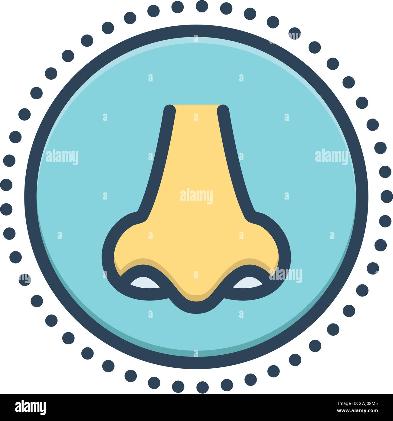Icon for nose,anatomy Stock Vector Image & Art - Alamy