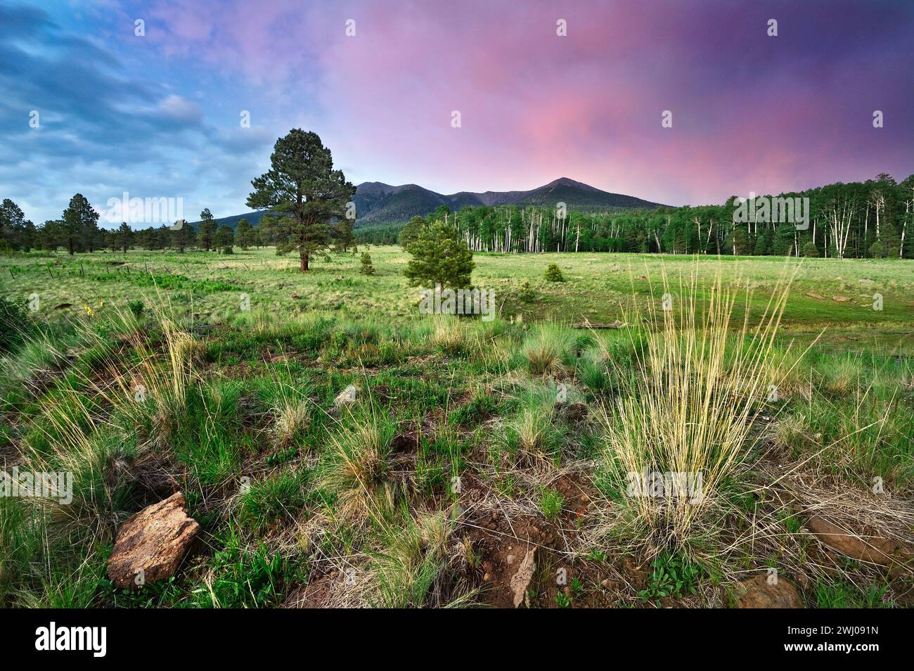 A serene meadow at dusk with rolling hills in the background. San ...