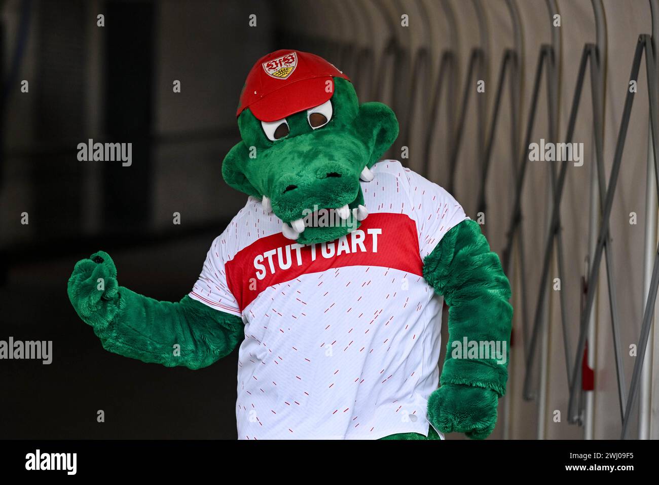 Stuttgart, Germany. 11th Feb, 2024. Soccer: Bundesliga, VfB Stuttgart ...