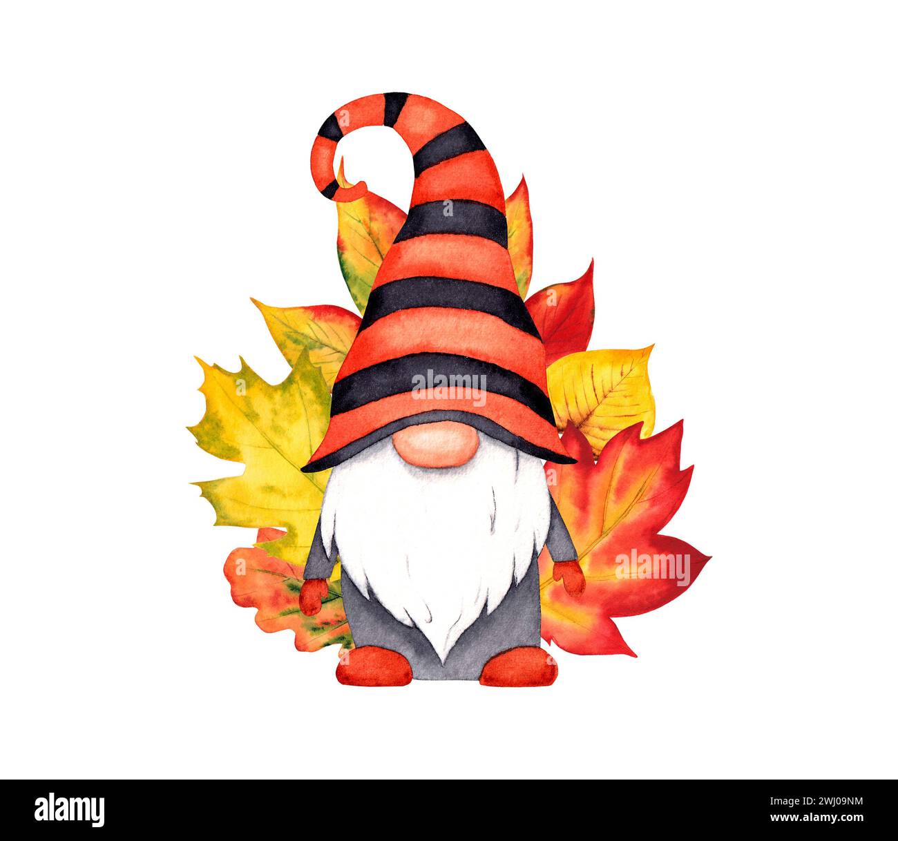 Watercolor illustration cute gnome with autumn leaves. Thanksgiving or ...