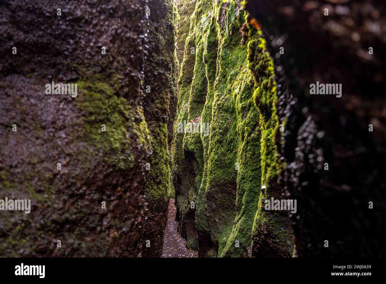 Drachenschlucht Die Drachenschlucht in Eisenach, Thüringen, Deutschland ...