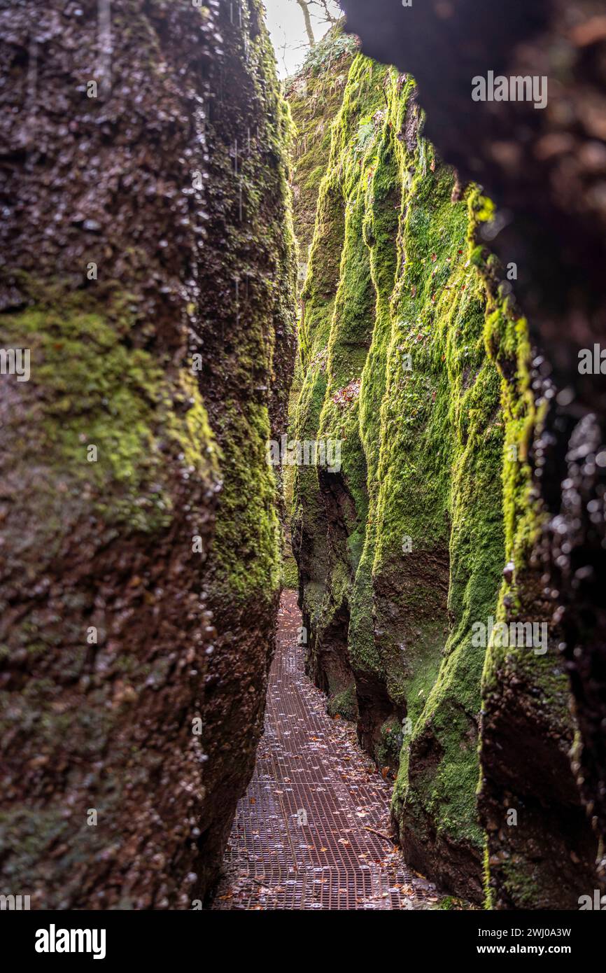 Drachenschlucht Die Drachenschlucht in Eisenach, Thüringen, Deutschland ...