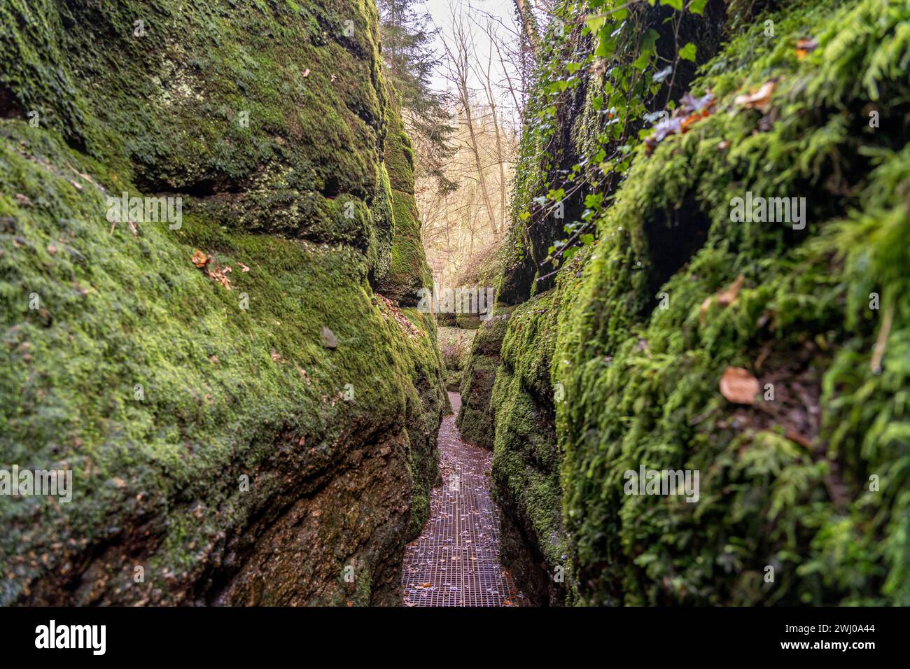 Drachenschlucht Die Drachenschlucht in Eisenach, Thüringen, Deutschland ...