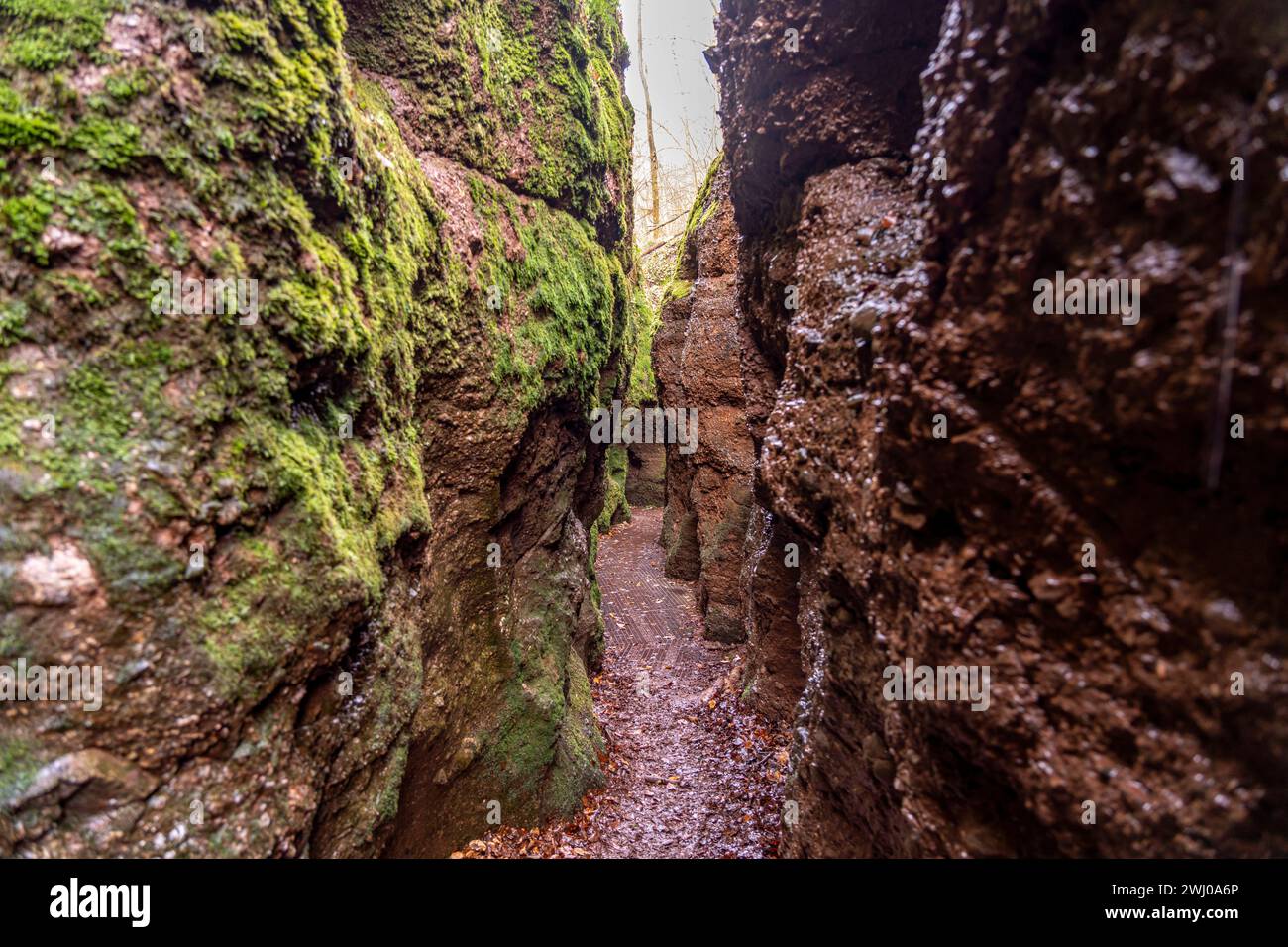 Drachenschlucht Die Drachenschlucht in Eisenach, Thüringen, Deutschland ...