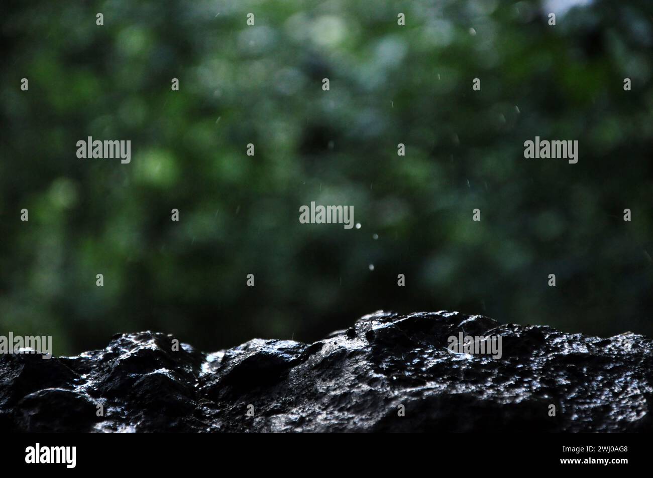 Wet limestone rock with blurry forest background in a rainy day Stock ...