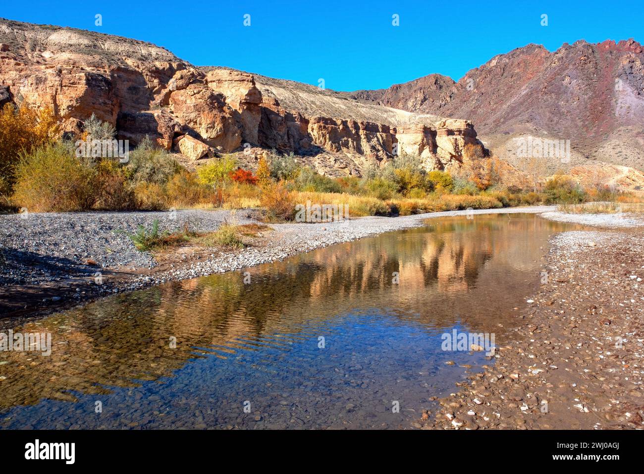 Crystal clear transparent water in a quiet river in the autumn season ...