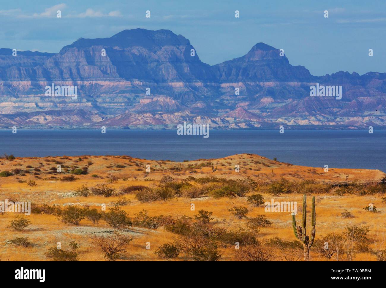 Picturesque landscape in the Mexican state of Baja California, Mexico ...
