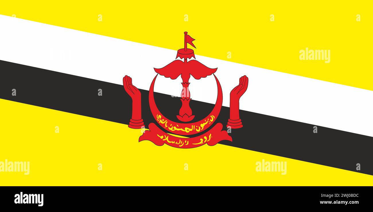 Flag of Brunei. Nation of Brunei flag. Brunei national flag. Fabric ...