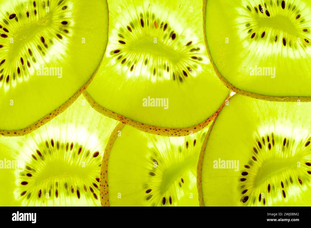 Lighted slices of Kiwi fruits. Cross sections of back projected kiwi ...