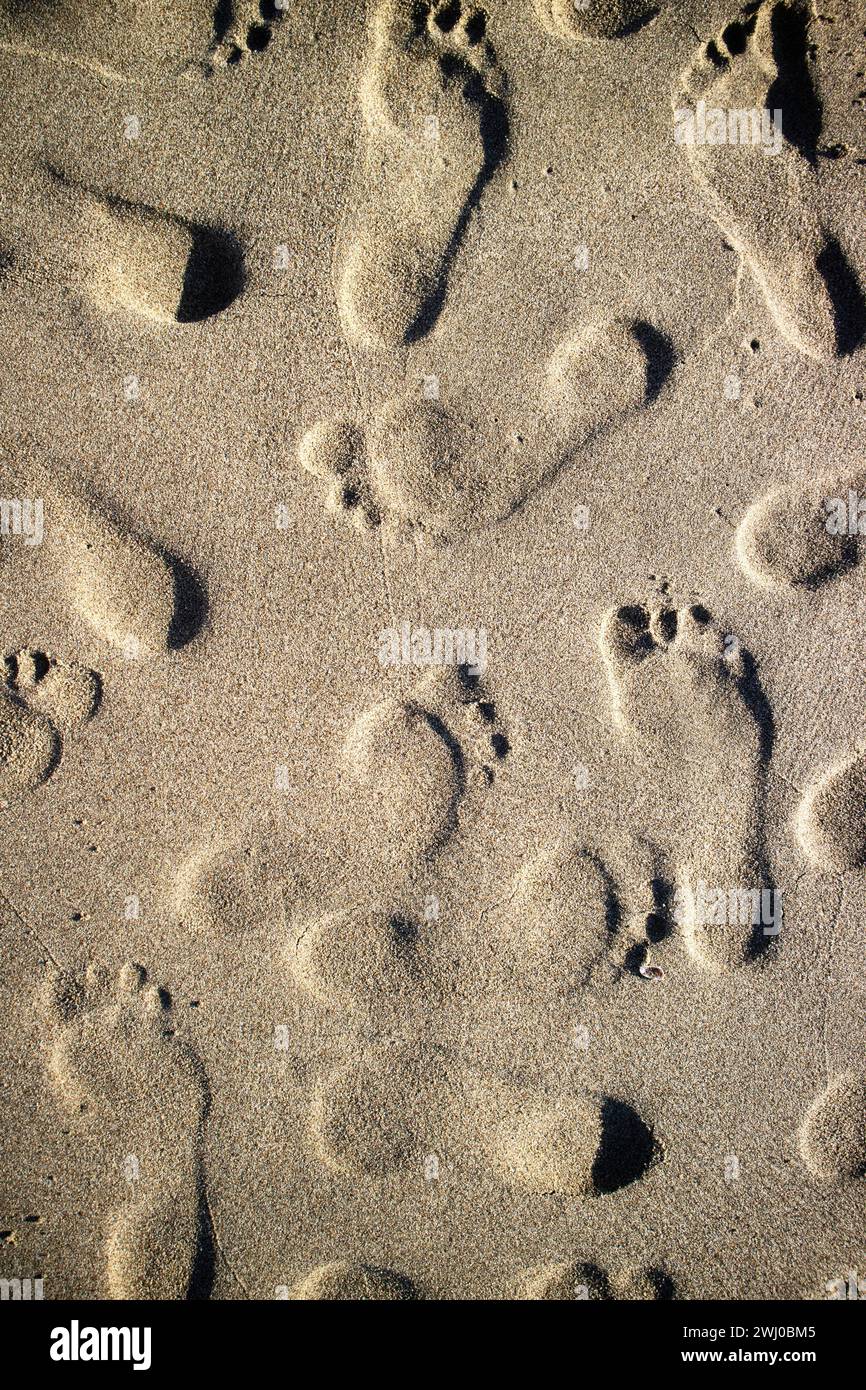 Exploration documentation hi-res stock photography and images - Alamy