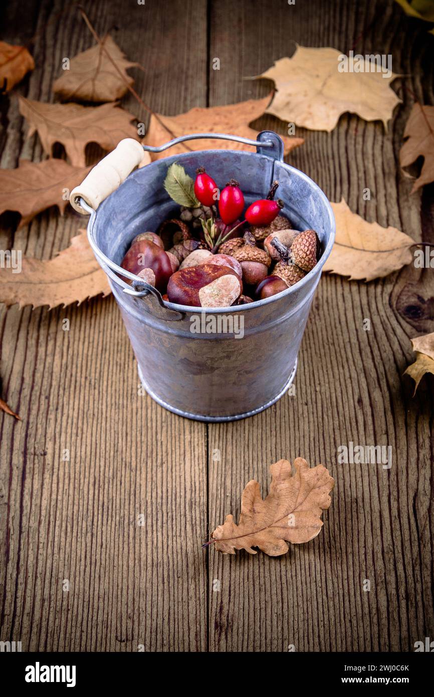Acorn shape hi-res stock photography and images - Alamy