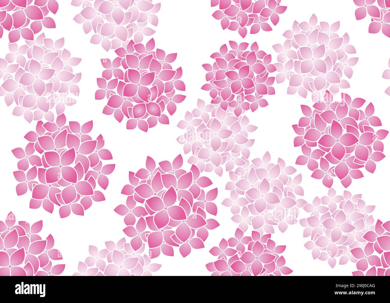 Seamless Pink Hydrangea Floral Pattern Vector Illustration Isolated On A White Background ...