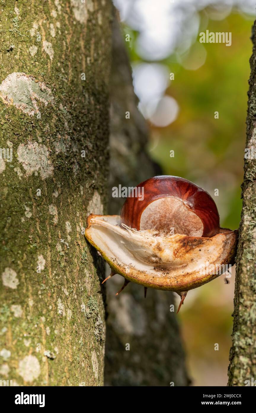 Climate and mood hi-res stock photography and images - Alamy