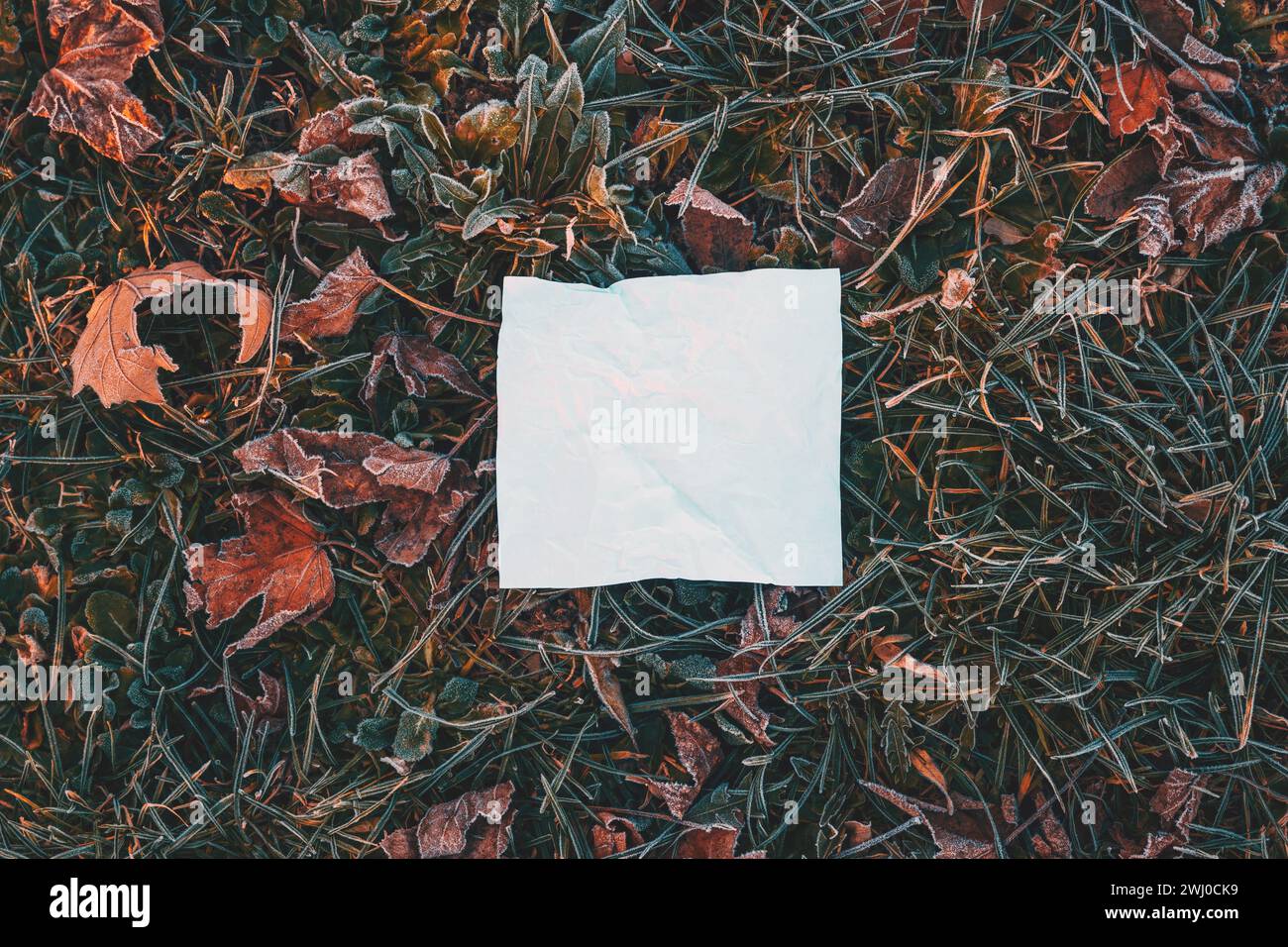 Blank message note paper on cold frosty ground covered with dry grass ...