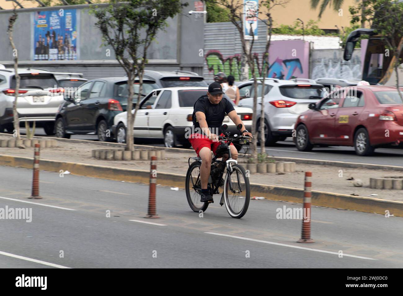 Ein Radweg in der Hauptstadt Lima Peru,09.02.2024 *** A cycle path in the capital Lima Peru ,09 ...