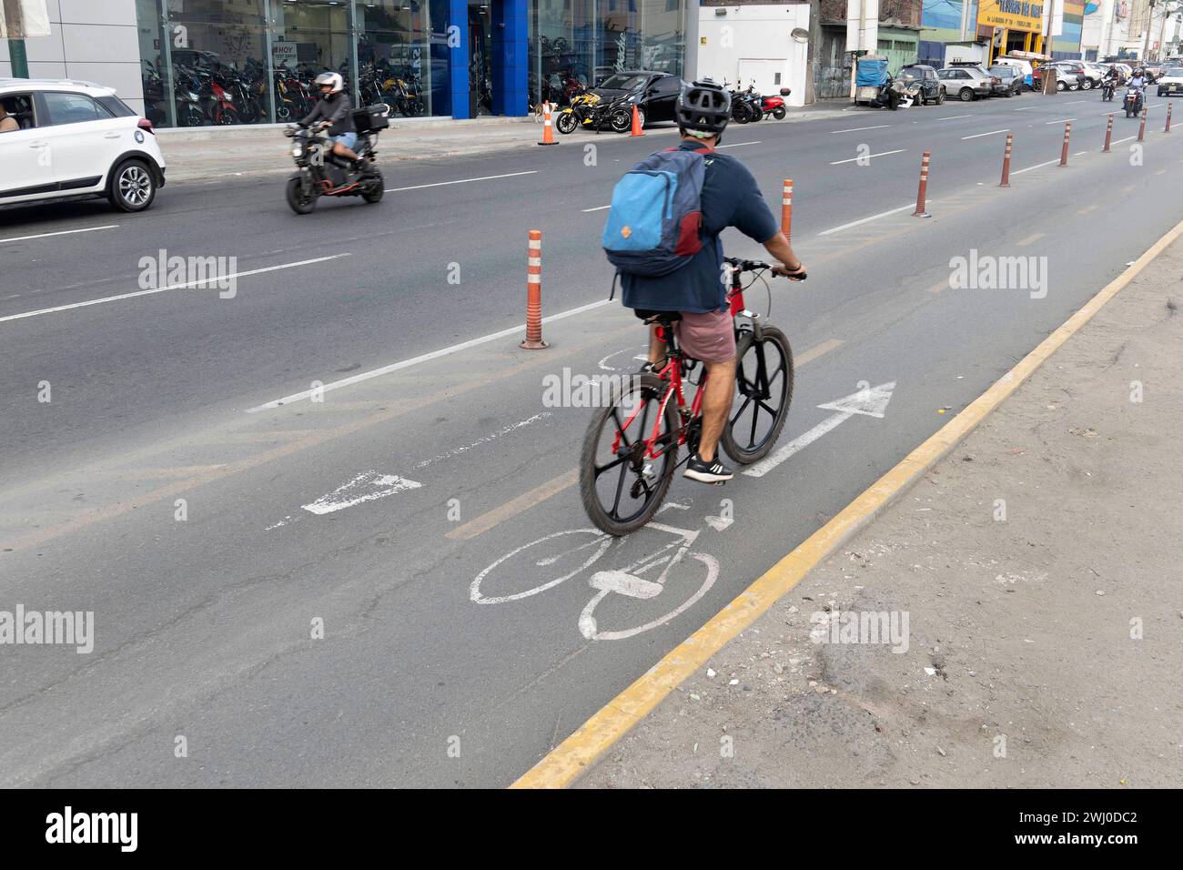 Ein Radweg in der Hauptstadt Lima Peru,09.02.2024 *** A cycle path in the capital Lima Peru ,09 ...
